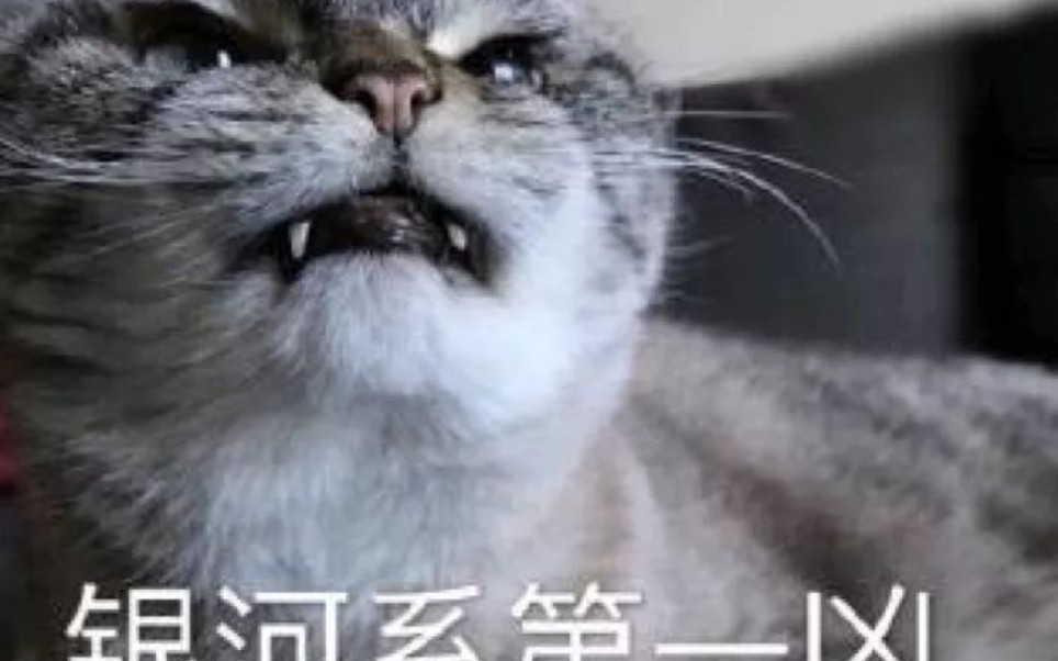 【师见打】学了半年CAD,玩了一年阴阳师,只会画画表情包才能维持的...