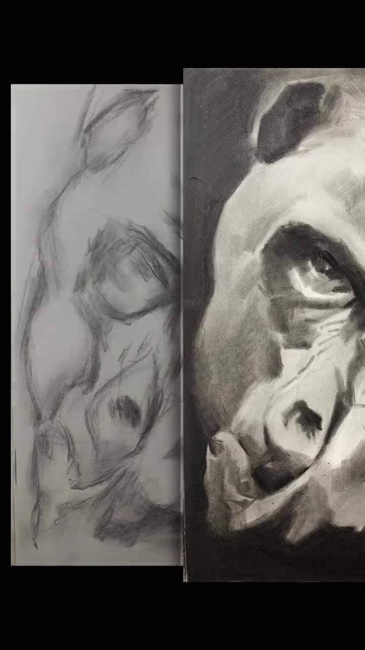 光影变幻,质感细腻,素描艺术,静谧深邃