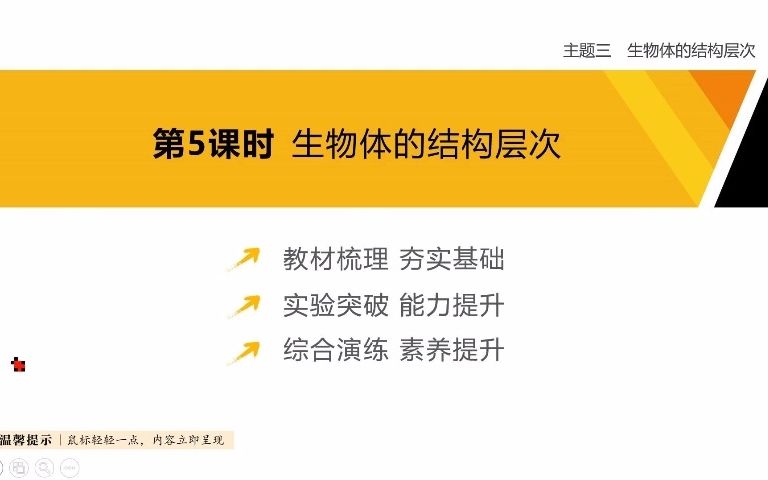 学考专题复习day4 生物体的结构层次