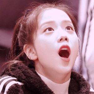 Wuli智秀jisoo啊 