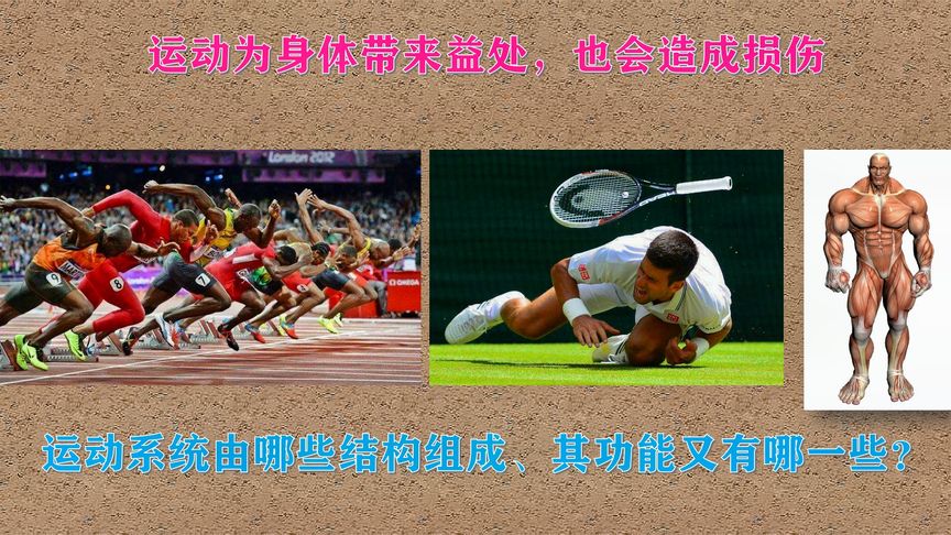 运动为身体带来益处、也会带来损伤,需要弄懂运动系统组成和功能