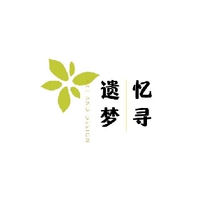 忆寻遗梦- 