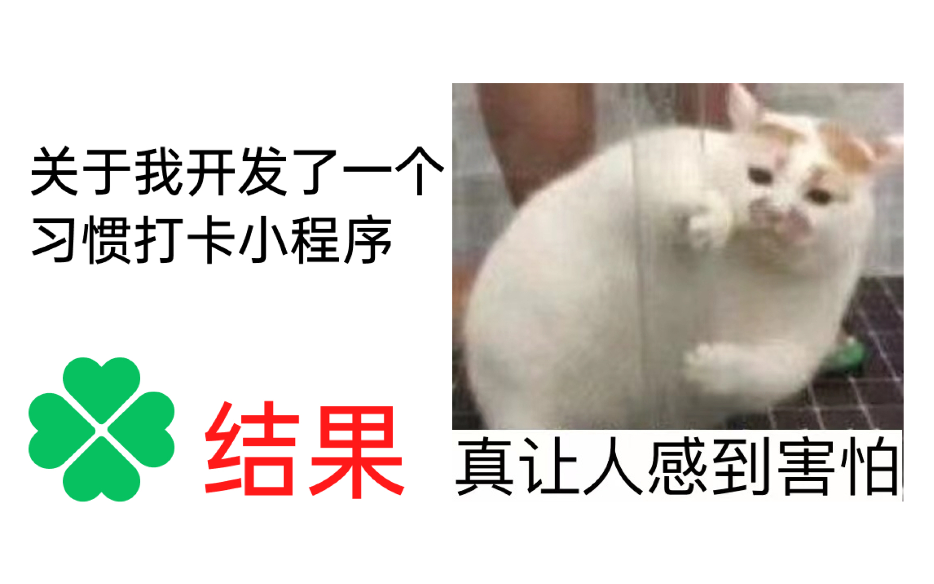 关于我开发了一个记录习惯打卡小程序,结果他们用来…