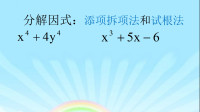 分解因式:x四次方+4y四次方,x³+5x-6