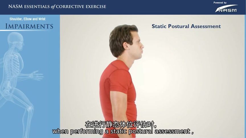 NASM-CES纠正训练专栏:第83课肩部受伤和错误的运动模式