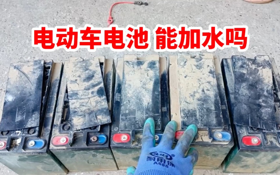 电瓶车电瓶 能加水吗?