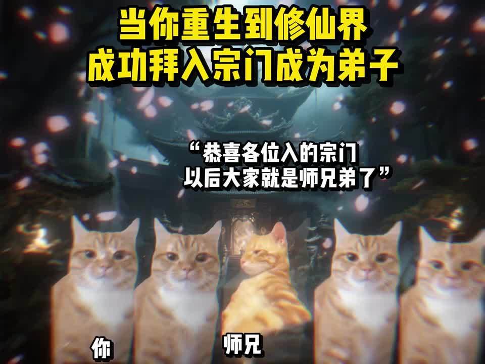 当你重生到修仙界成功拜入宗门成为弟子