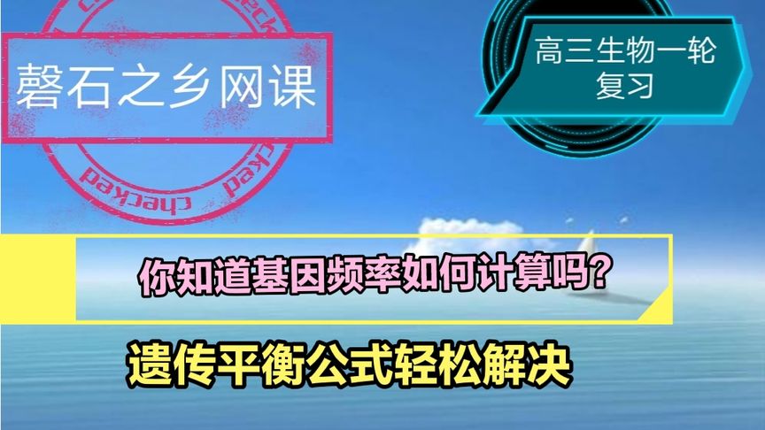 现代生物进化理论基因频率计算高三生物一轮复习