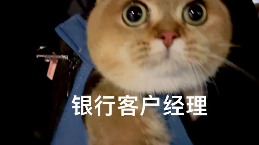 #职场 银行客户经理赚不赚钱