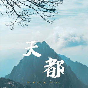 对王-本斯哥 