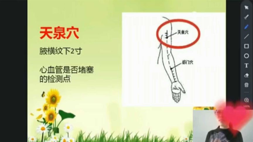 心包经的重要穴位-天泉穴