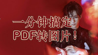 PDF文件格式转换为图片视频