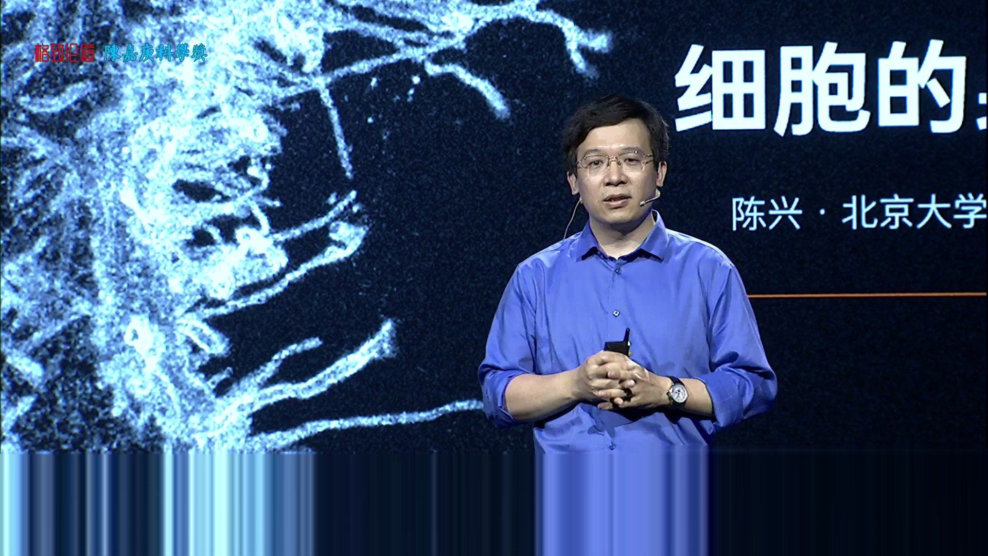 【2020陈嘉庚青年科学奖演讲】04.陈兴:糖 — 细胞的身份标签(北京...