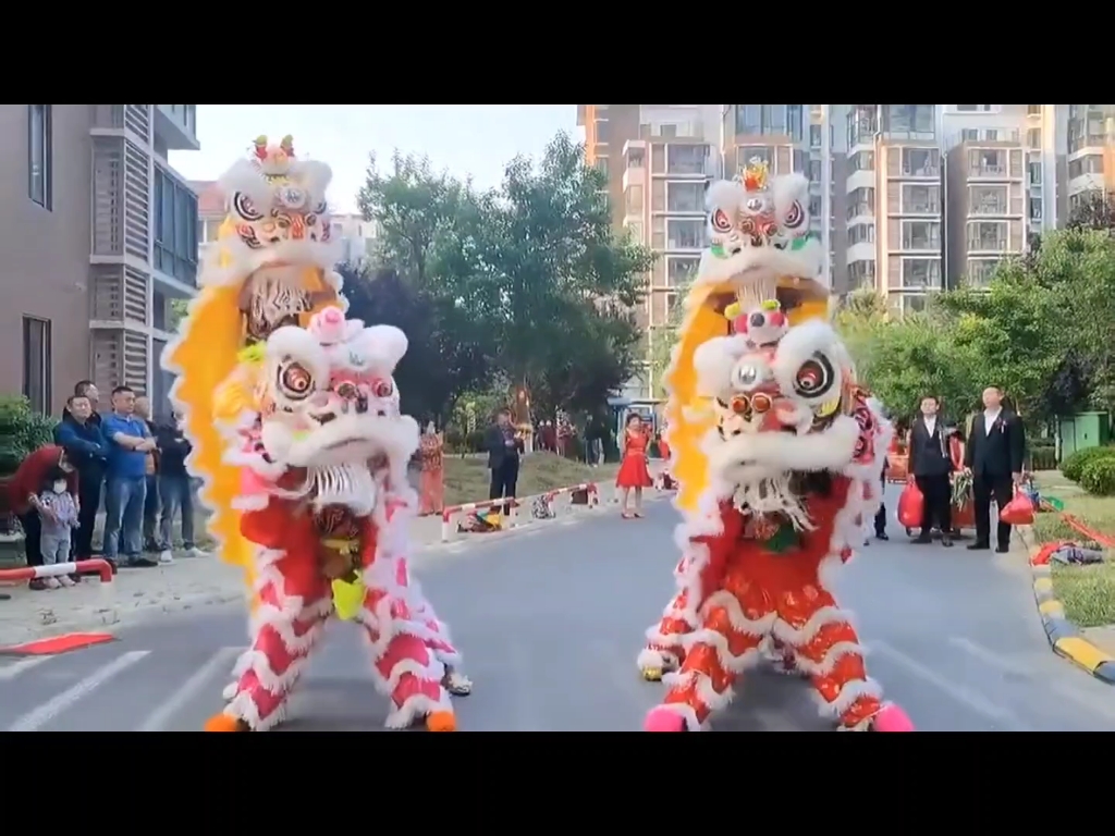 绍兴本地舞狮舞龙表演19112878129绍兴开业舞狮舞龙表演 寿宴婚礼...