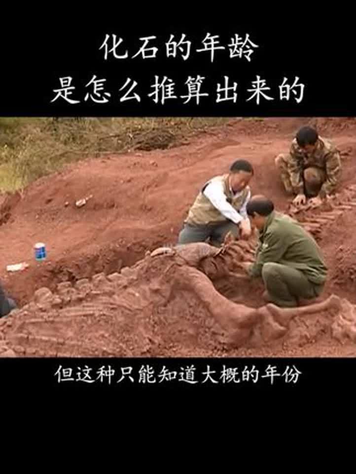 化石的年龄是怎么推算出来的?