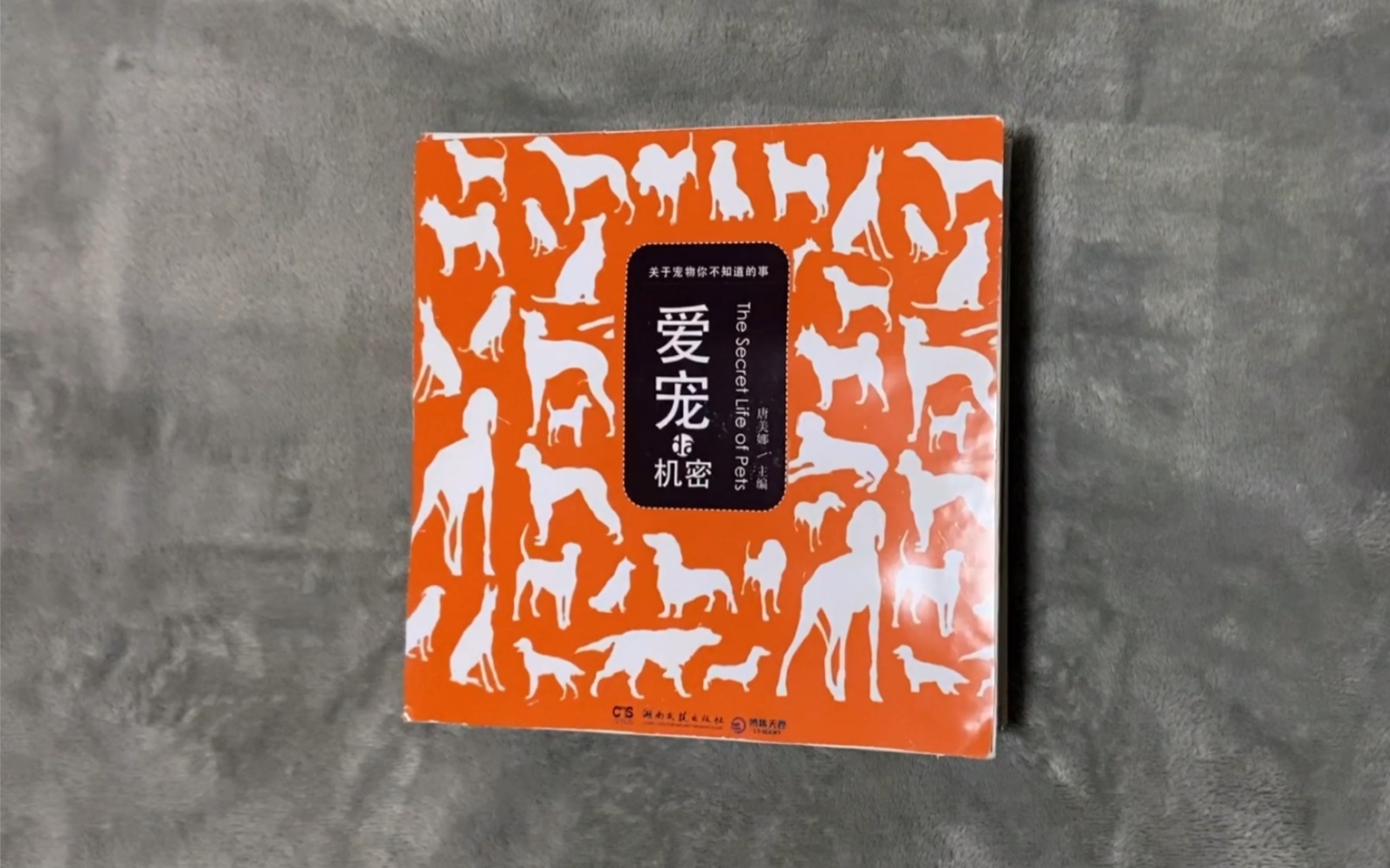 书籍设计/课程作业/创意设计/概念设计书