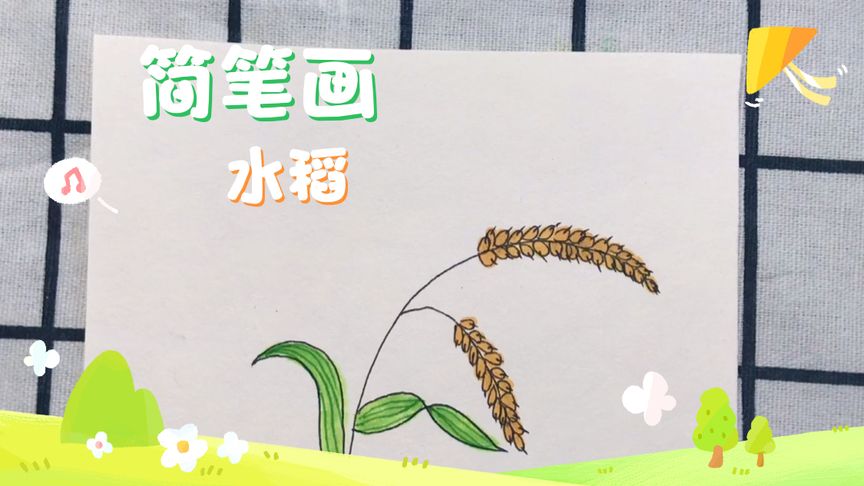 儿童简笔画《水稻》用绘画的方式教会宝贝珍爱粮食,过有意义六一