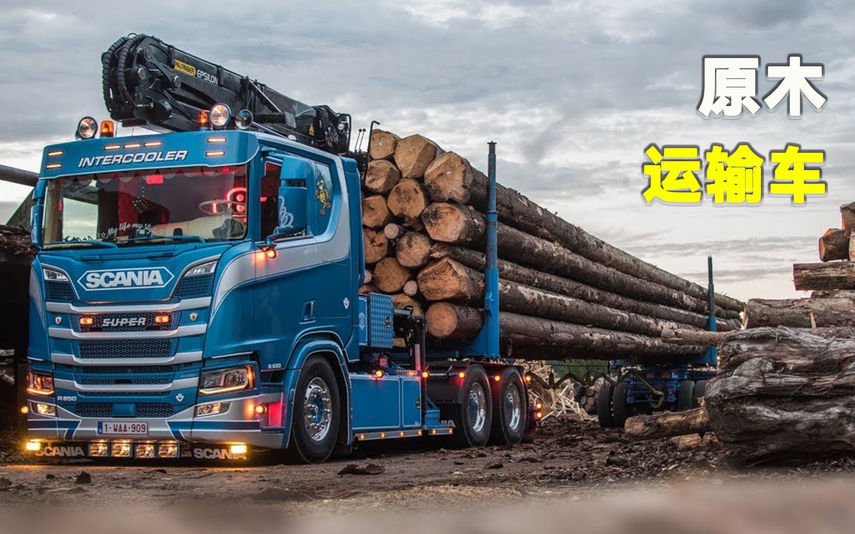 盘点世界上十款非常强大的原木运输车!