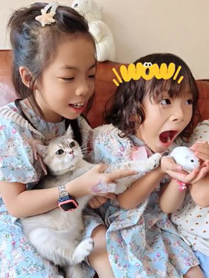 快来帮五和木木选选她们的小宠物吧?!猫咪
