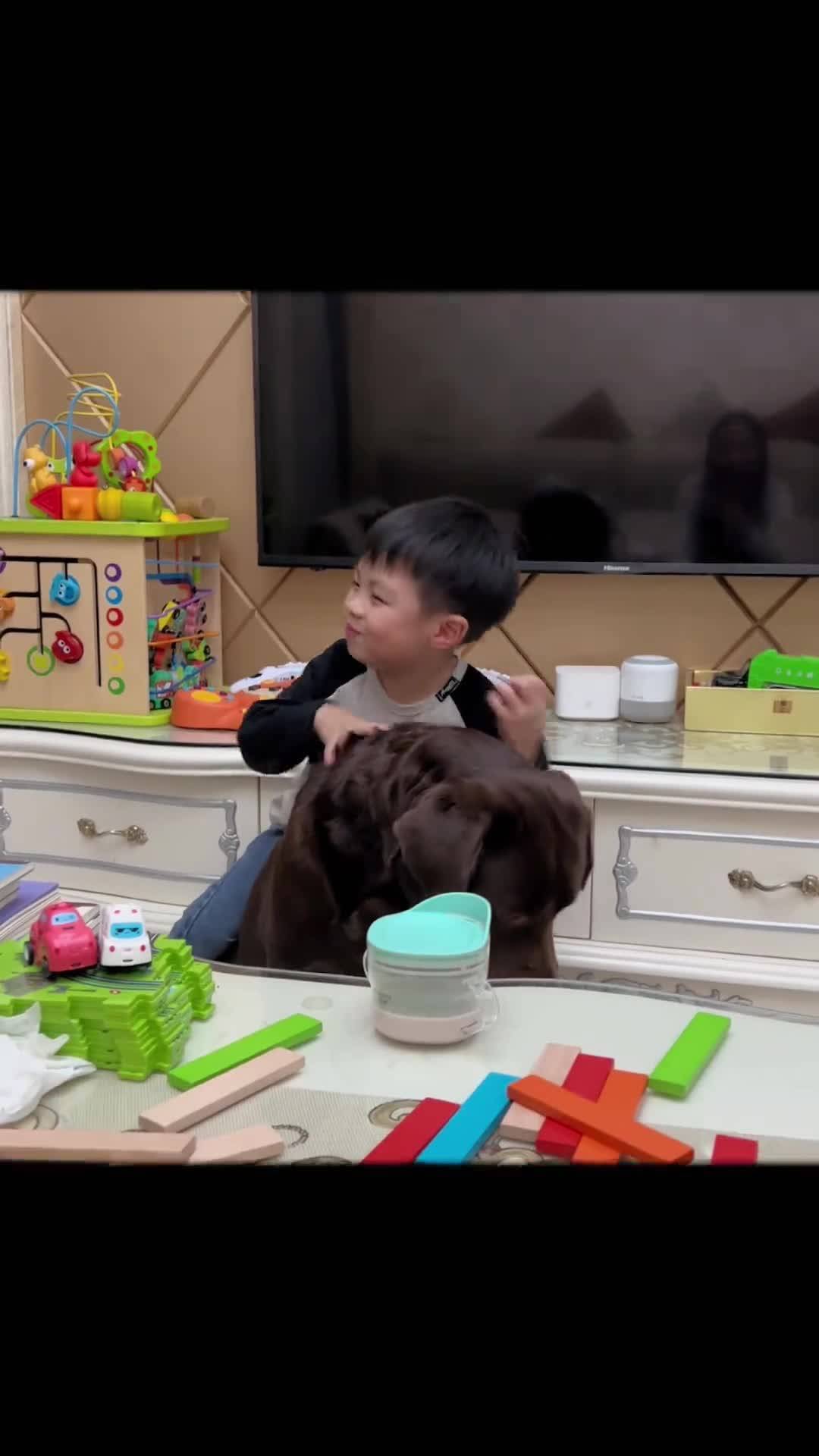 你看,明明是一样的娃一样的狗做着一样的动作!