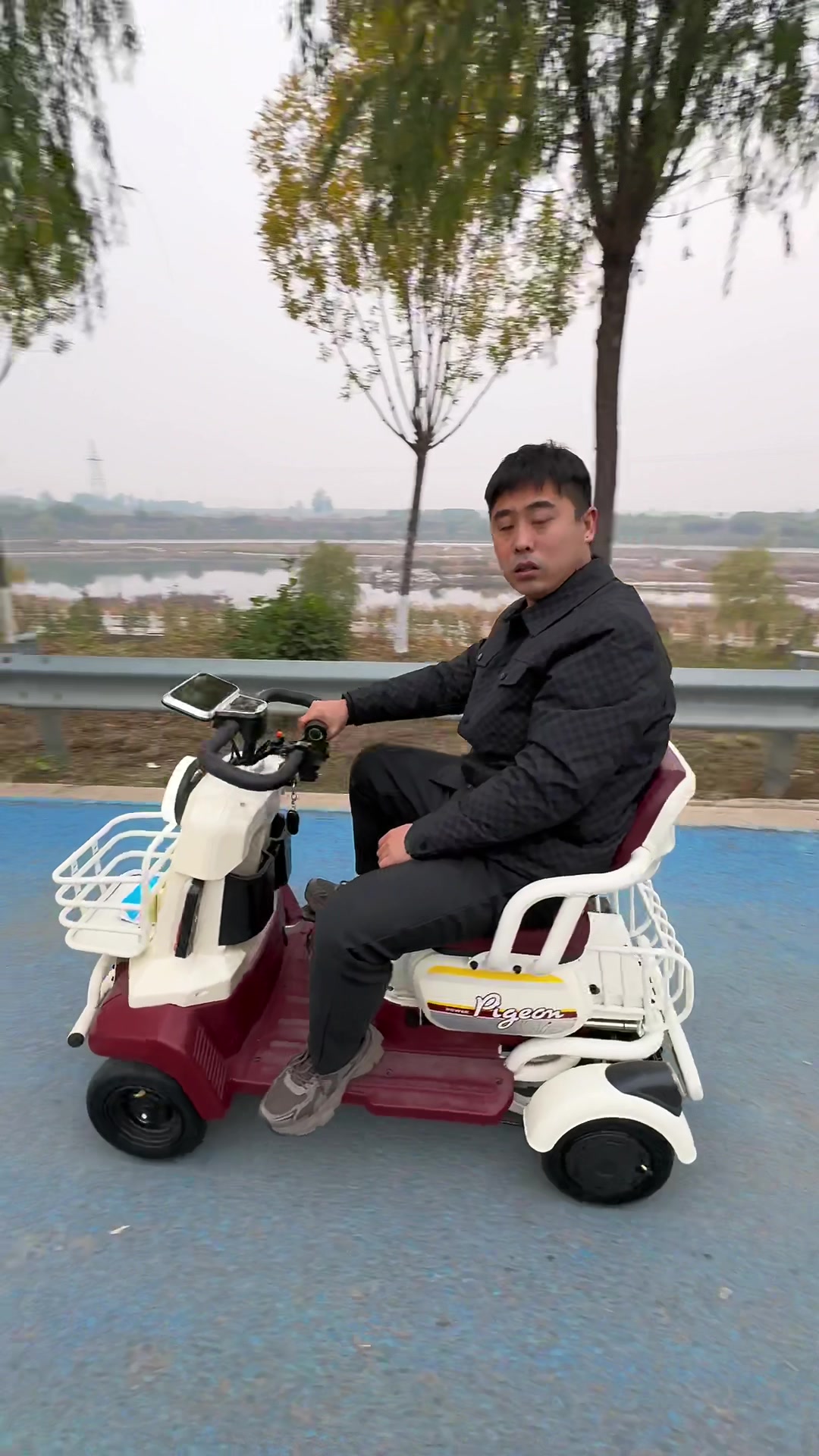 老年电动车工厂补贴活动中 新款飞鸽电动车,老年代步车,全新升级,魔术...