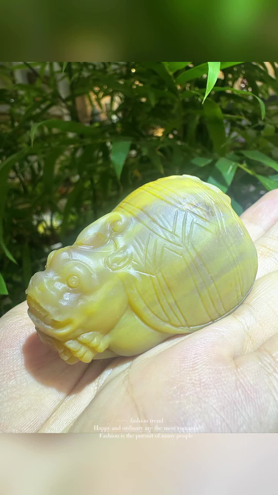 #收藏品 #藏品 #纯手工雕刻 #树化玉