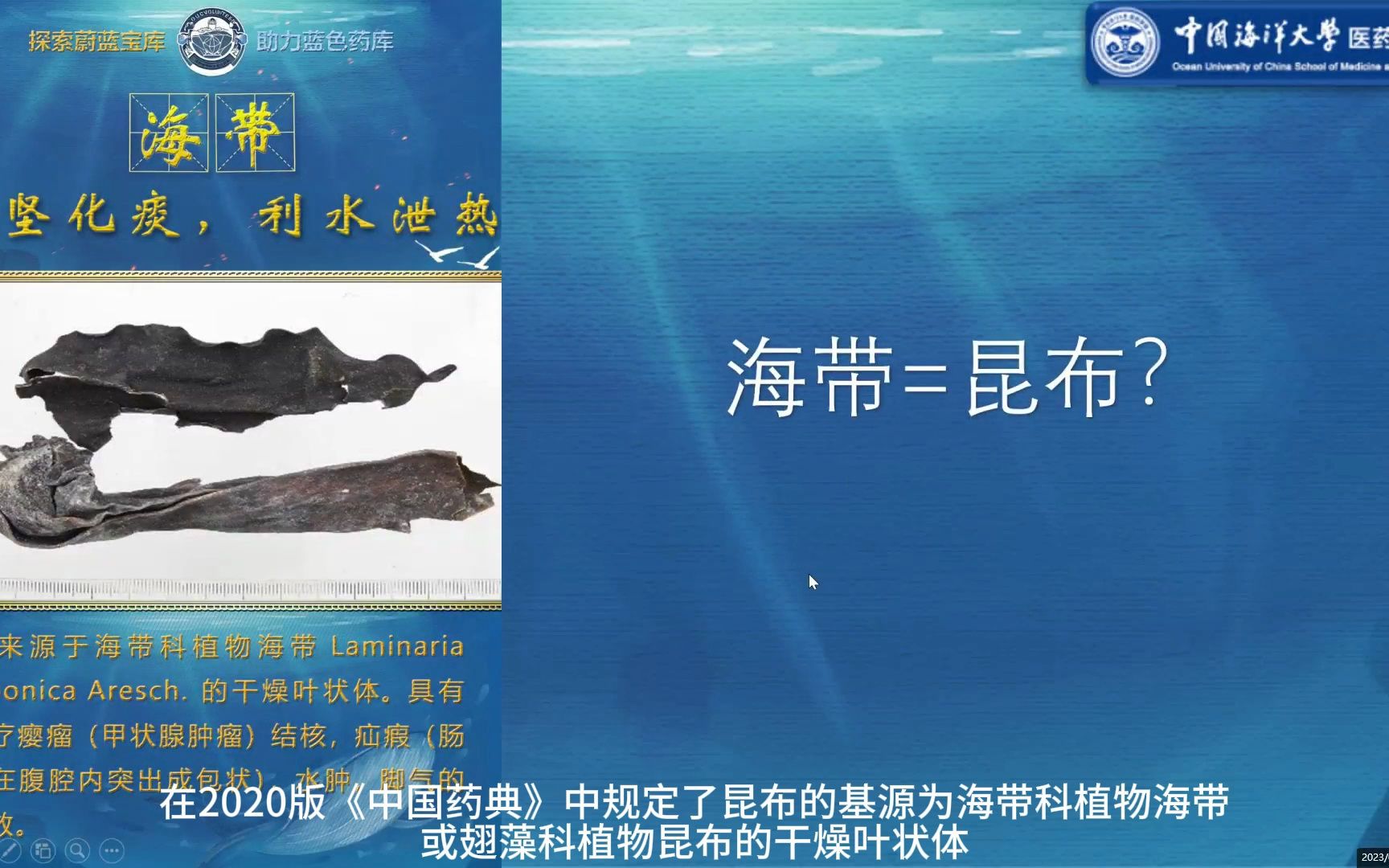 海洋药物科普—昆布与海带的区别
