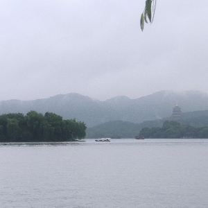 绯尘脱世 