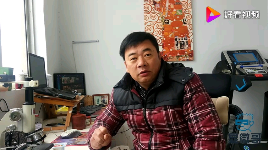 显微镜下的乳酸菌