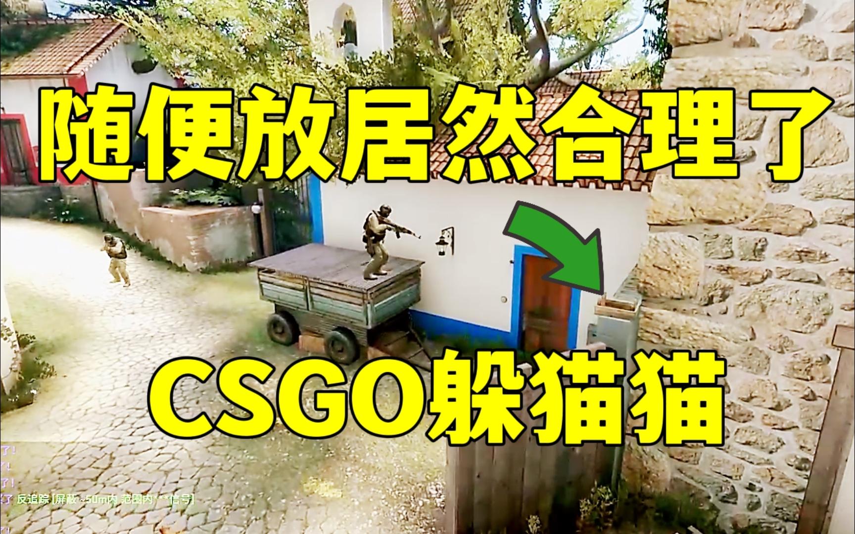 CSGO躲猫猫,盒子模型,小模型随便藏,CT不仔细根本看不到_网络游戏...