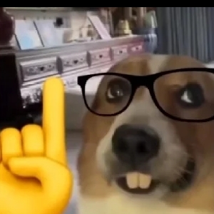 南部太平洋蓝色风暴 