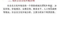 第三节 社会及文化环境分析