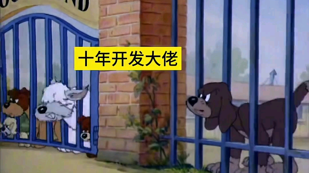 计算机专业学生找工作现状