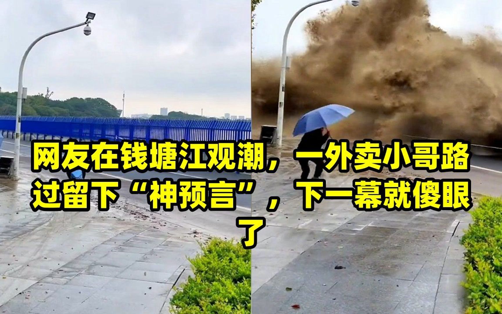 网友在钱塘江观潮,一外卖小哥路过留下“神预言”,下一幕就傻眼了
