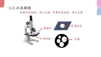 高银浩-教学微视频-高倍显微镜的使用.MP4