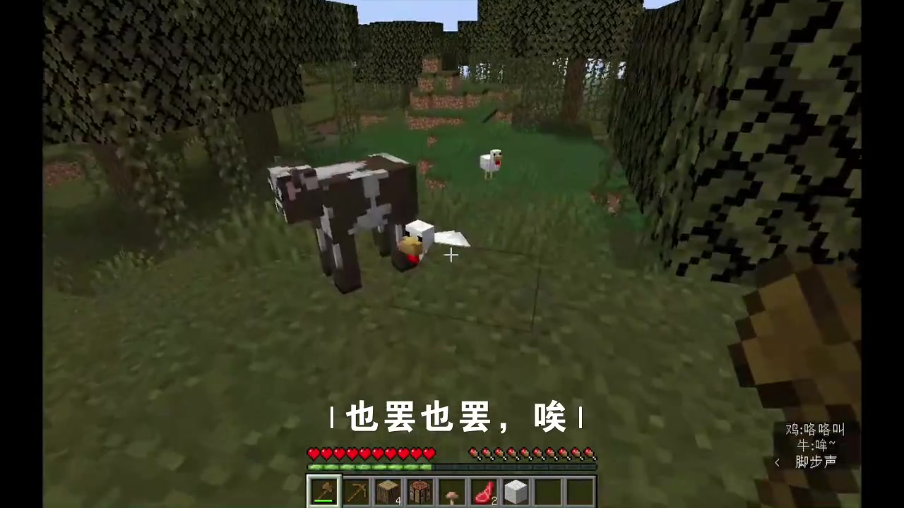 我的世界纯净生存1:有铁,无煤?