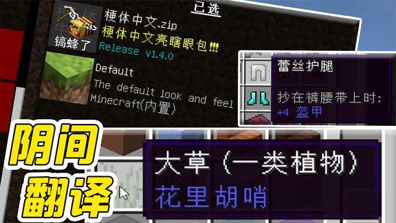 我的世界mod:1.17最强阴间翻译,玩梗狂魔的梗你认识多少?