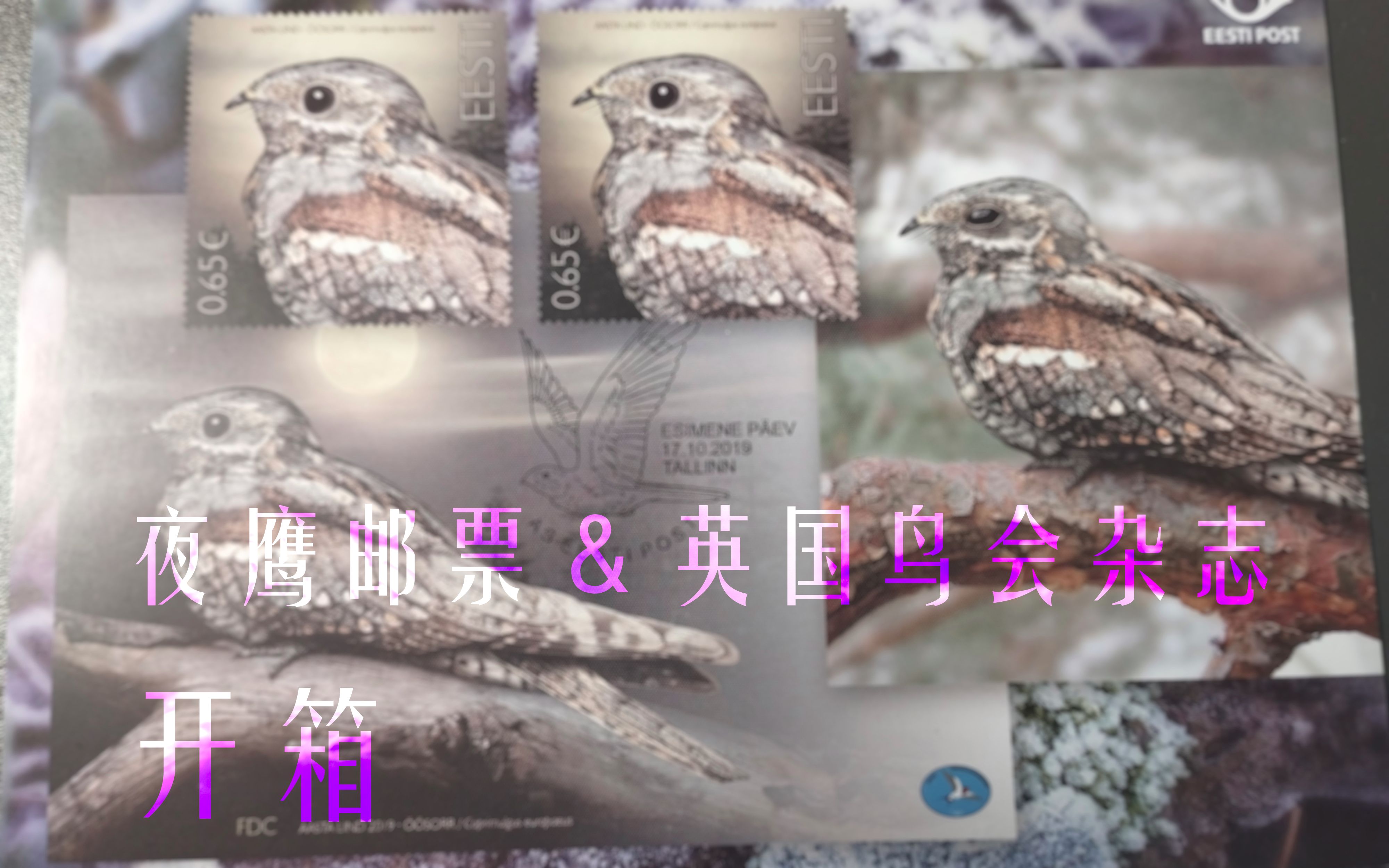 开箱夜鹰邮票&英国鸟会杂志