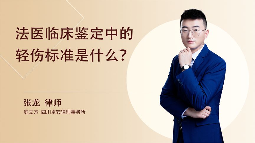 法医临床鉴定中的轻伤标准是什么?