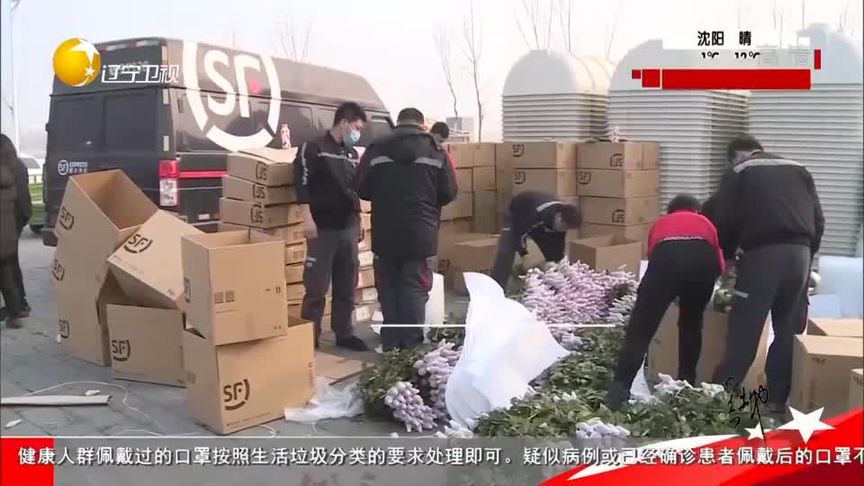 沈阳首批电商村集体上线,互联网开辟农业销售新模式