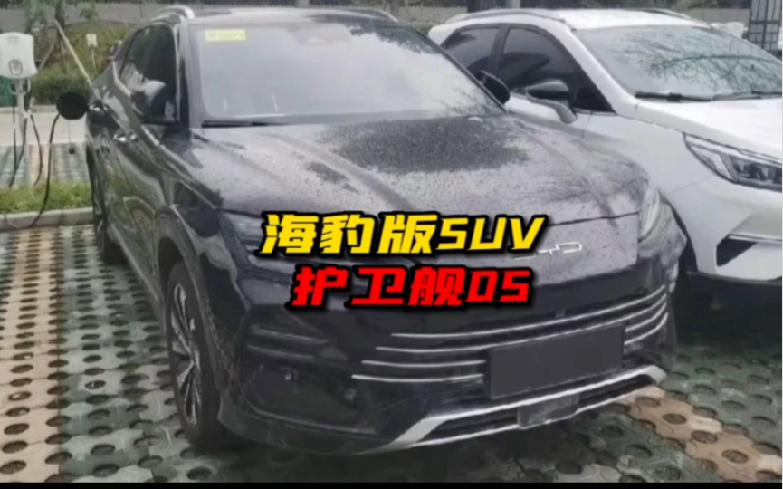 宋plus改款上新,旧款依然这么好卖。佩服。