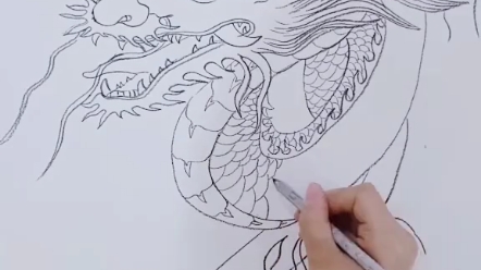 一起来画龙吧!国画白描龙教程