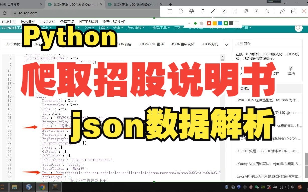 财务Python|爬取招股说明书|json数据解析