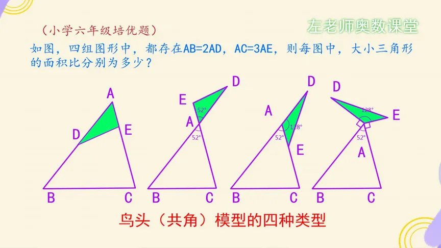 小升初:鸟头模型知识大放送,六大模型全学完,纵横考场都不怕