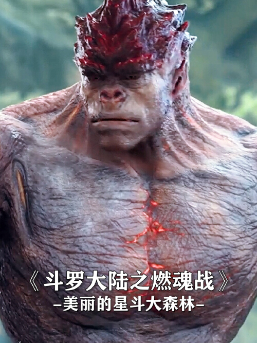 星斗大森林真的很美丽,从此看远古文有画面感了!