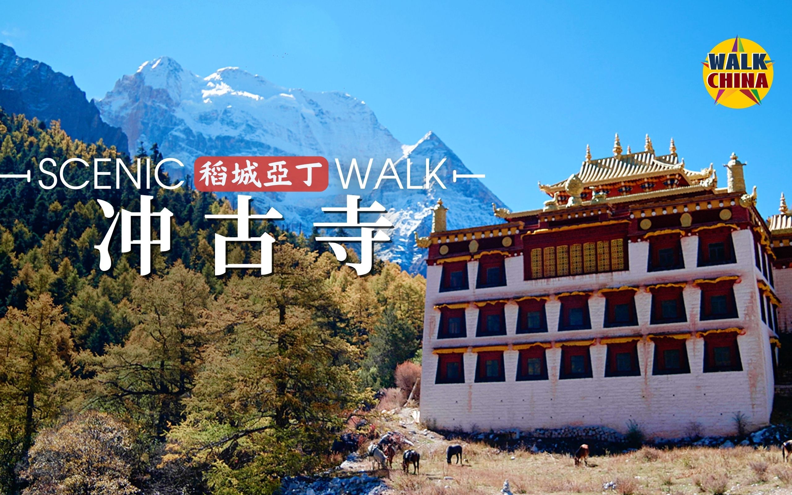 金秋稻城亚丁,冲古寺|4K超清风光漫步
