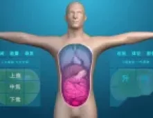 全球首发:史上第一个中医经络3d动画循环图!