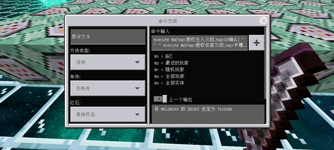 访客权限卡槽-指令部分展示_我的世界