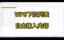 28-WPS下拉列表自由输入内容
