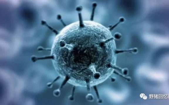 病毒是如何被消灭的?